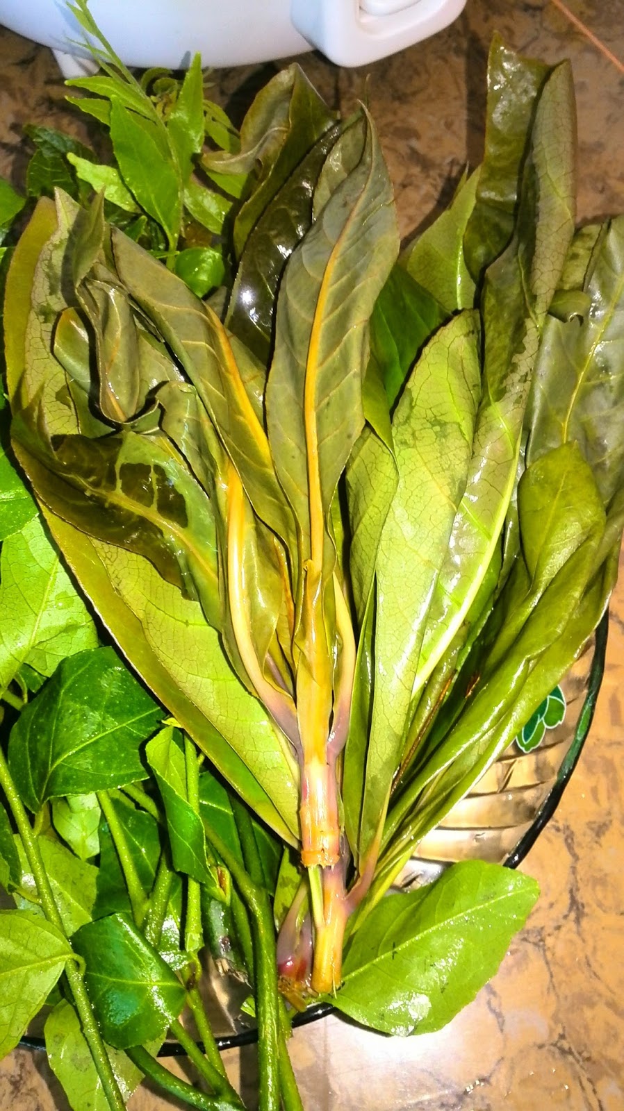 namakucella: ULAM PUCUK SENERUI...PUCUK PUTAT...PUCUK ULAM RAJA