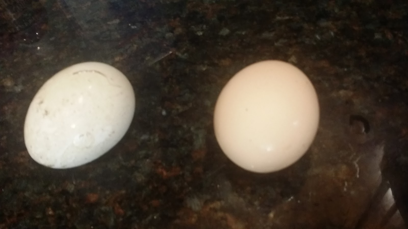 How to Make A Freaky Foldable Egg and BLOW your Friends Minds!!!