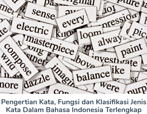 Materi Pengertian Kata Beserta Fungsi Dan Penjabaran Jenis Kata Dalam ...