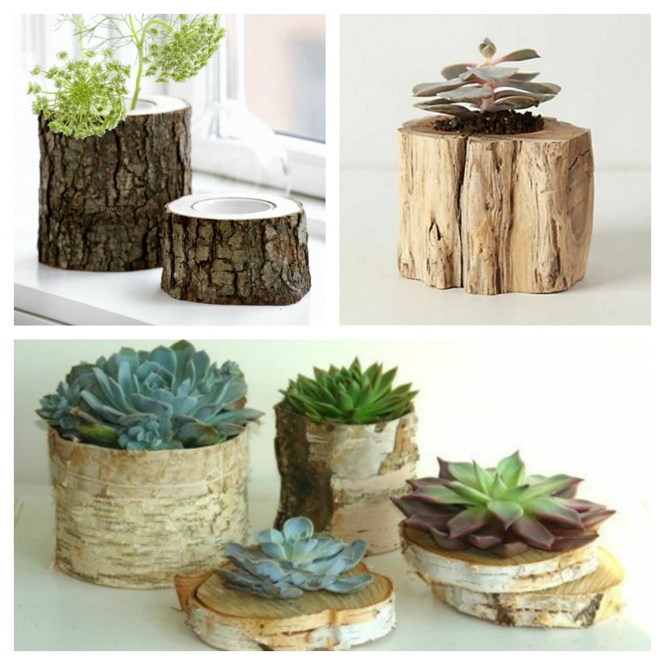 DIY projects: tree trunk in the form of decorative flower pots - Diy ...