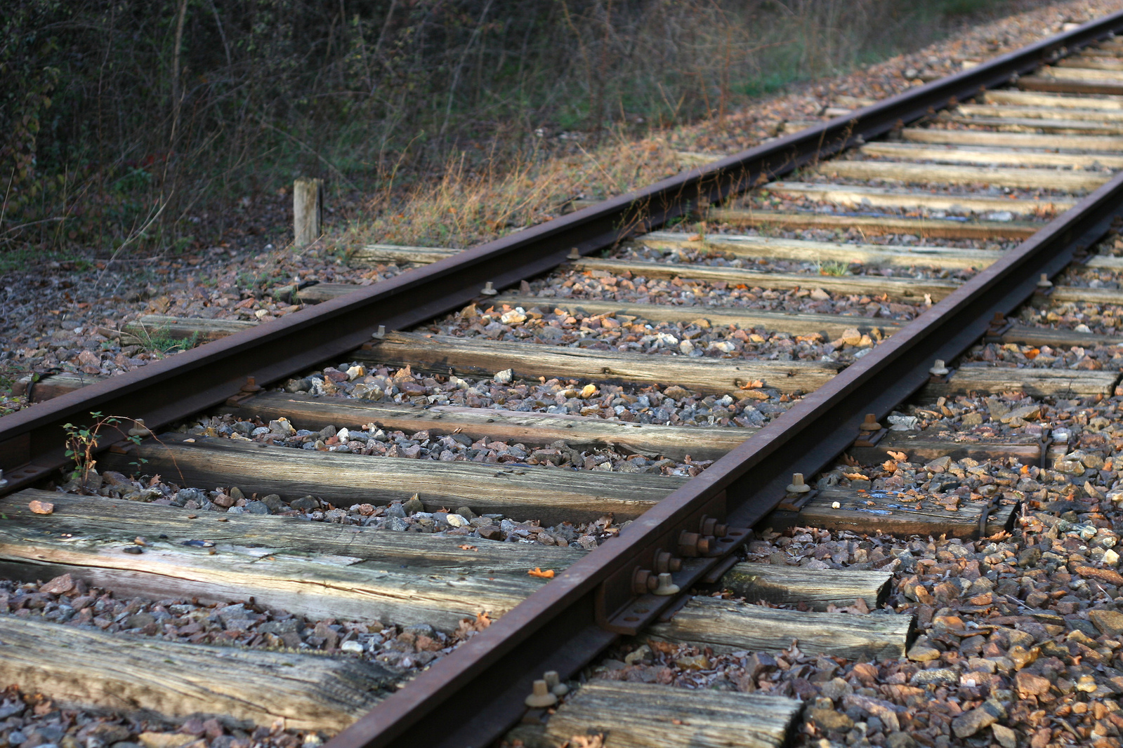 Musings for the potting shed...: Rusty Rails...