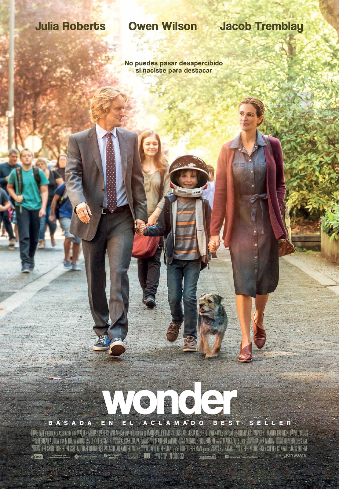 Wonder. Stephen Chbosky.