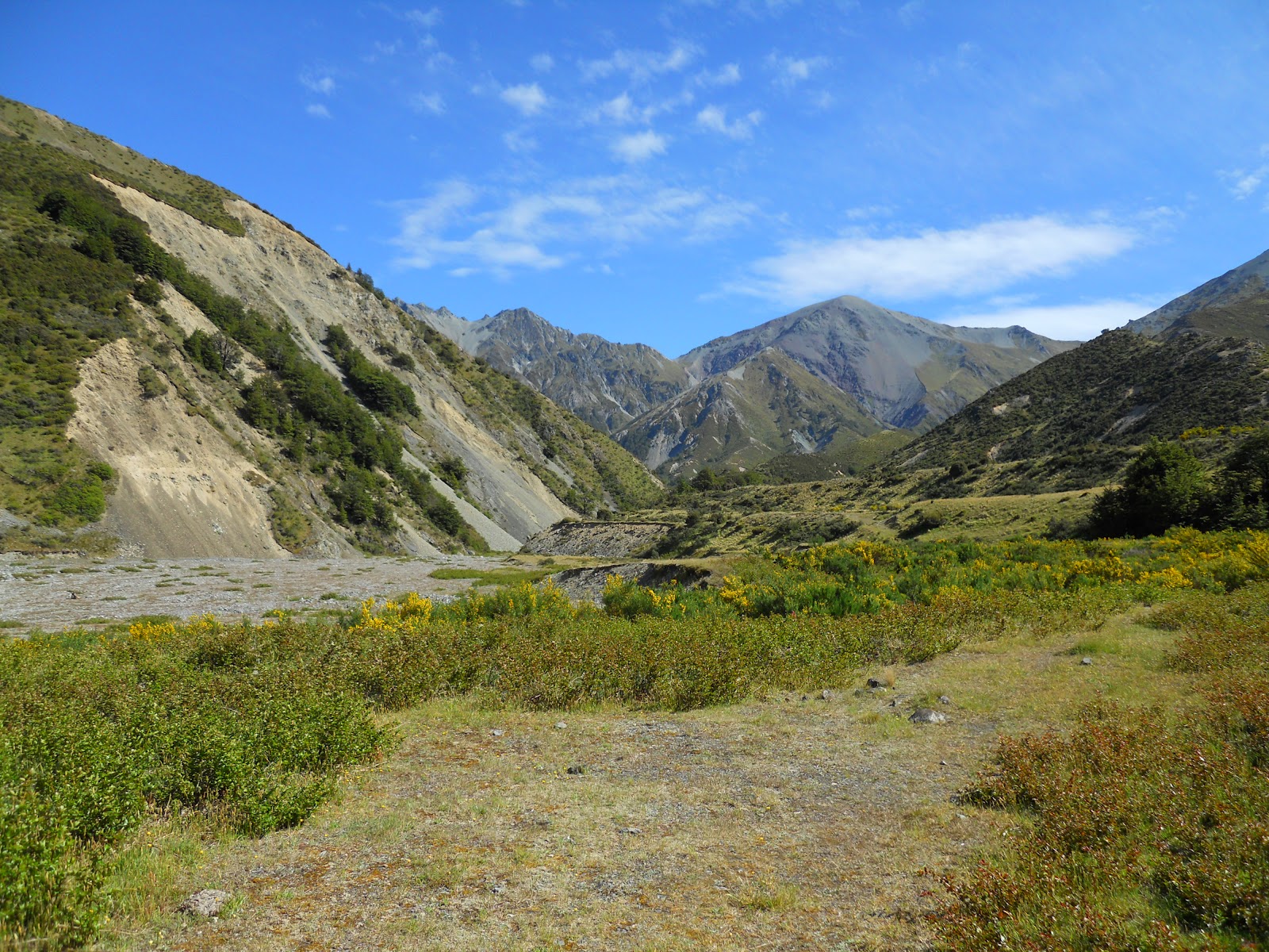 Tramping in the New Zealand backcountry: NZ Bush Adventures: Kowai ...