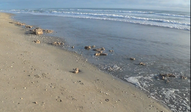 The Treasure Beaches Report Direct From Florida's Treasure Coast.: 10/5 ...