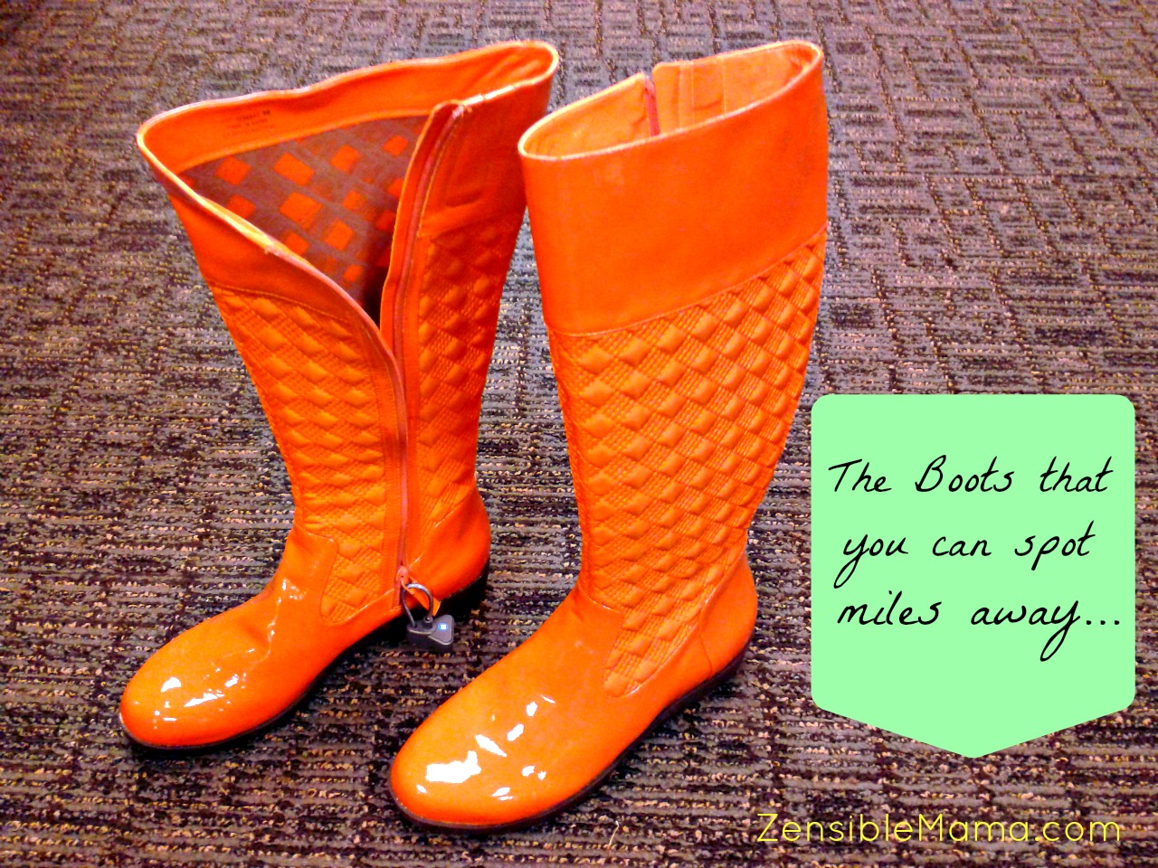 Zensible Mama: The Day in Photos No. 22 - Killer Shoes #365Photoproject