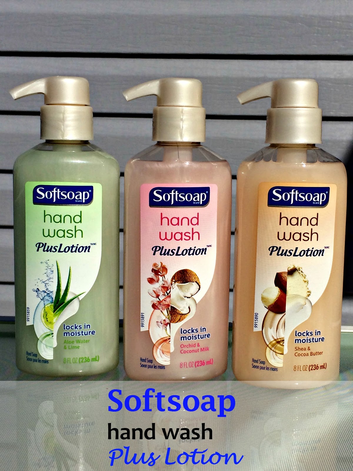 Try New Softsoap Hand Wash Plus Lotion | Mom Files