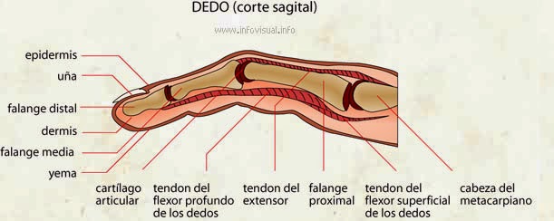 Pedro Herrero Goizueta: febrero 2015