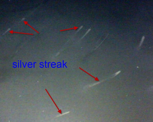 INJECTION MOULDING: SILVER STREAK