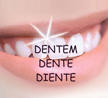 PAULATIM DISCERE: DENS DENTIS : diente