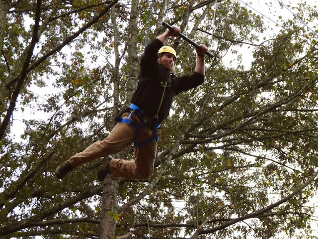 Ijams Journal: Ijams launches new adventure ropes course