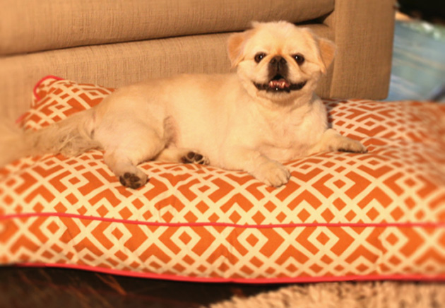 celinarowestyle: BRING LIFE INTO YOUR HOME