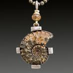 Elemeno P: Susan Barth