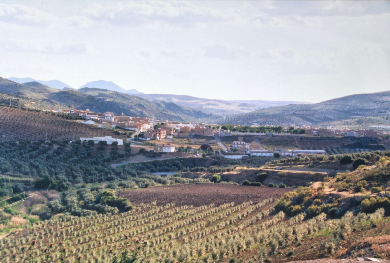 Un racó on passejar: Los Corrales, Sevilla