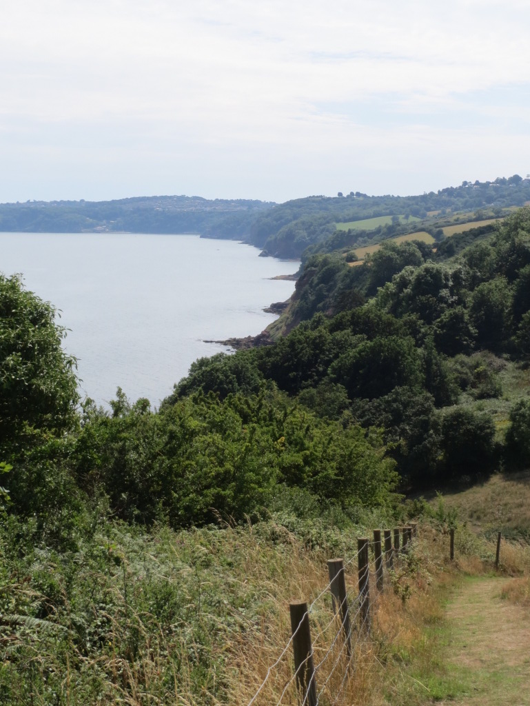 JSBlog - Journal of a Southern Bookreader: Ice cold in Shaldon