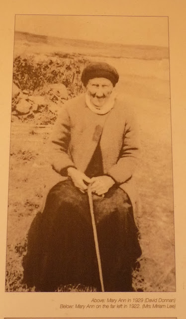 Birding For Pleasure: Kearney and Ballyquintin Farm Discovered.