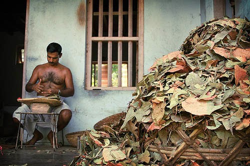 Kerala Tourism: Beedi of Kerala as good as Cigar from Cuba