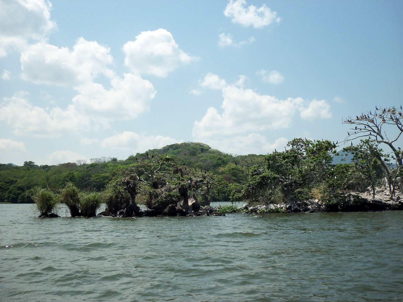 La Sierra Mágica de Los Tuxtlas.: La Isla de Las Garzas