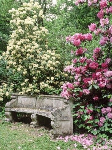 Hydrangea Hill Cottage: Cottage Garden Benches