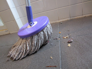 Tumblemonkey Handmade: To Mop or not to mop... that is the question ...