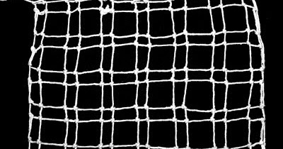 Knots Indeed: A square of Square Diamond Netting with 7 small square on ...