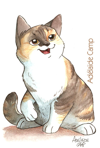 Adélaïde Camp, illustratrice: Dessin de chat