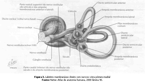Ceci Elías : TRIDIMENSIÓN Y EQUILIBRIO