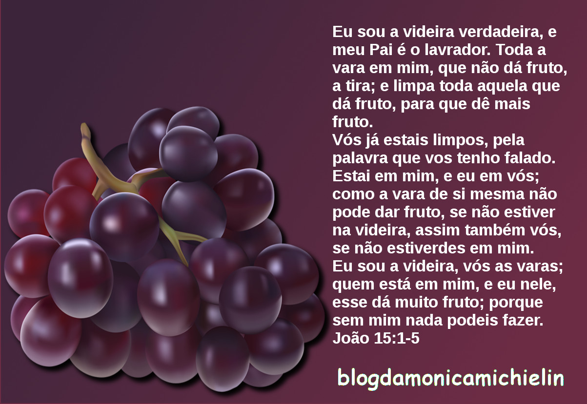 O Que é Uma Videira Na Bíblia - RETOEDU