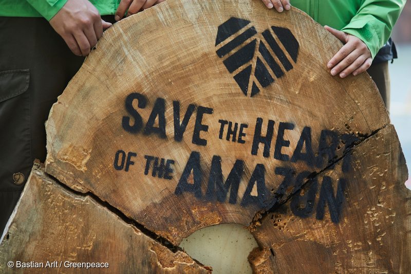 Hi Pedro: SALVE A AMAZÔNIA (SAVE THE AMAZON) | GREEPEACE