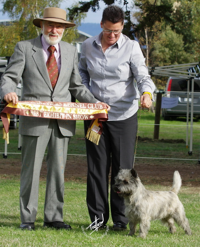 TraffordPhotos - Australian Dog Show Photos: April 2014