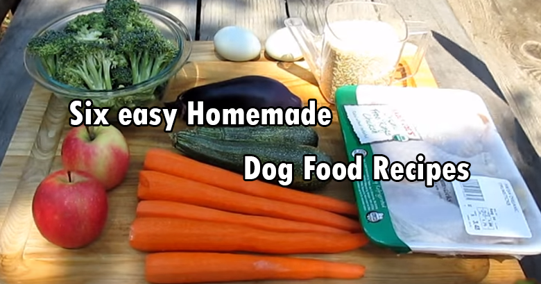 Six easy Homemade Dog Food Recipes ~ Smart Dog Breeds