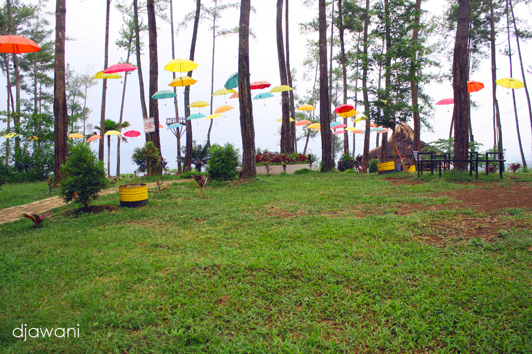 Kemit Forest Sidareja Cilacap Sudah Usang?