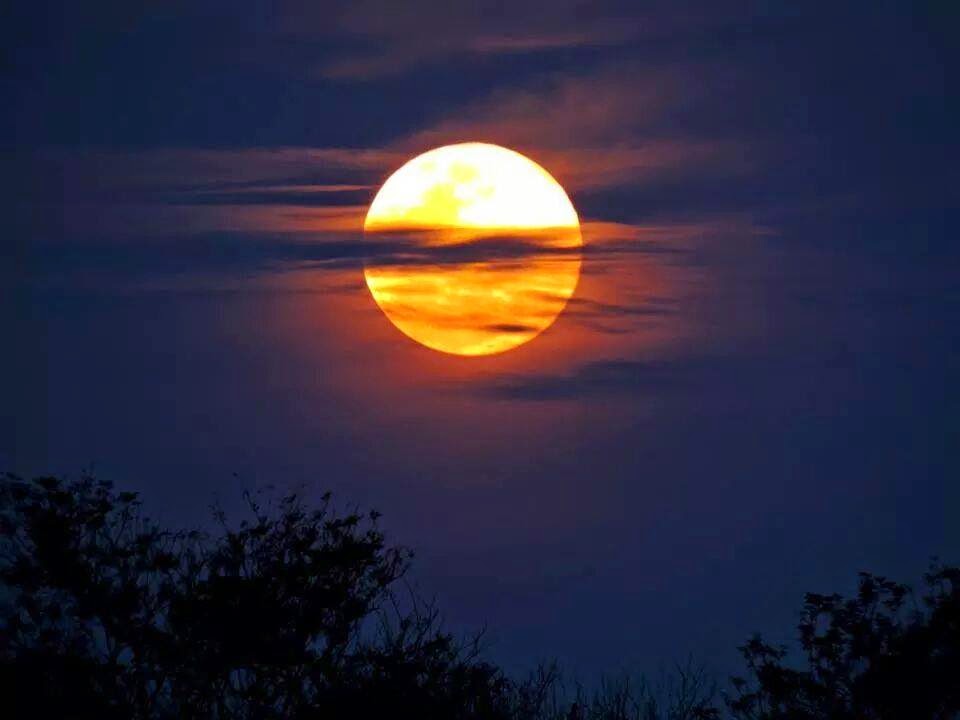 ILCE MARINHO: Lua Cheia