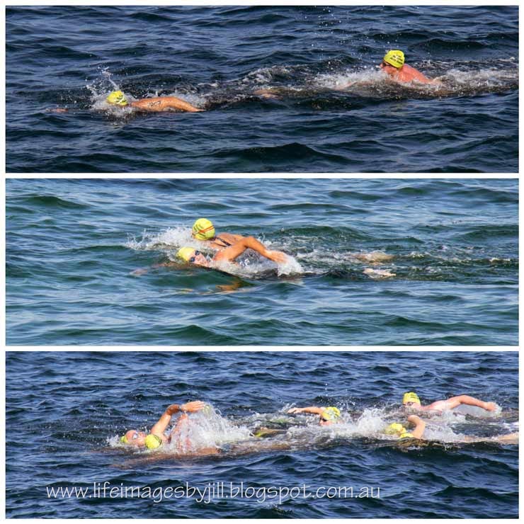 Life Images by Jill: Busselton Jetty swim 2015