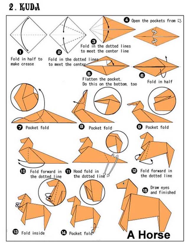 Origami Haiwan Liar - titiandagung