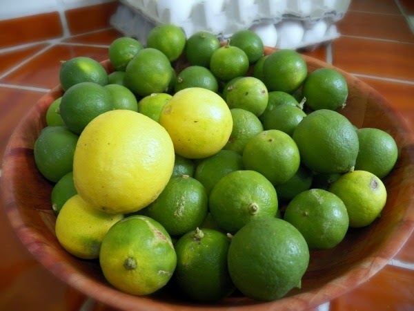 Mari's Cakes (English)