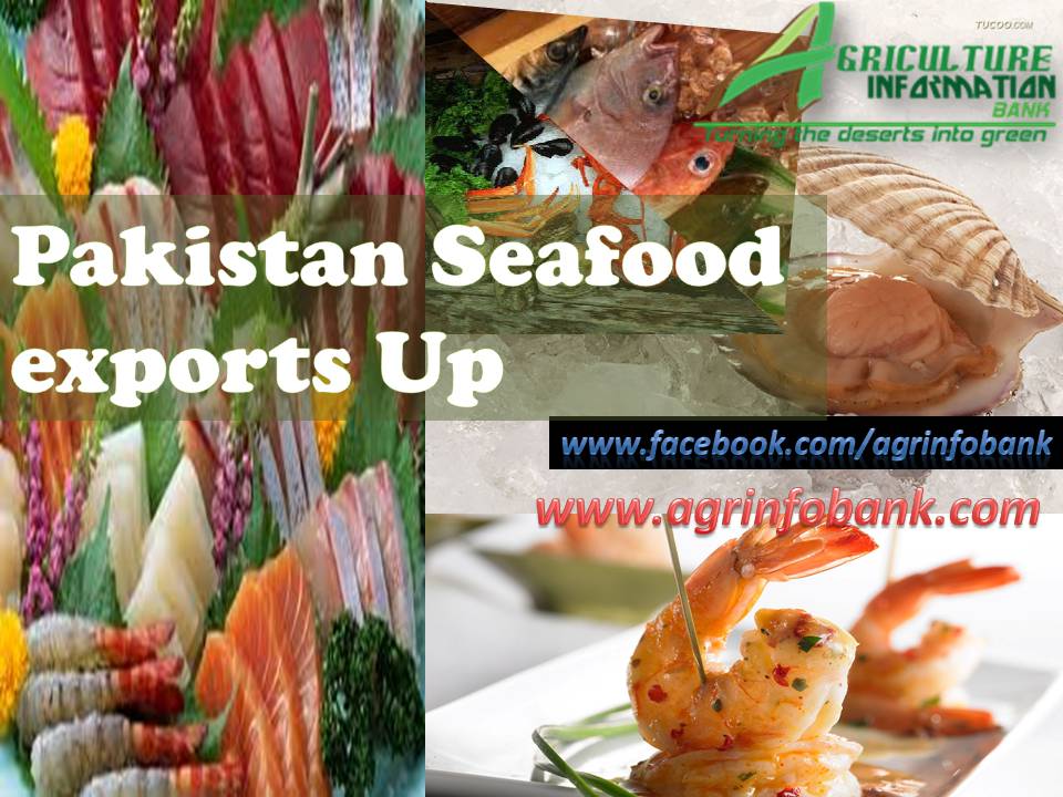 Pakistan Seafood exports Up | Agriculture Information Bank