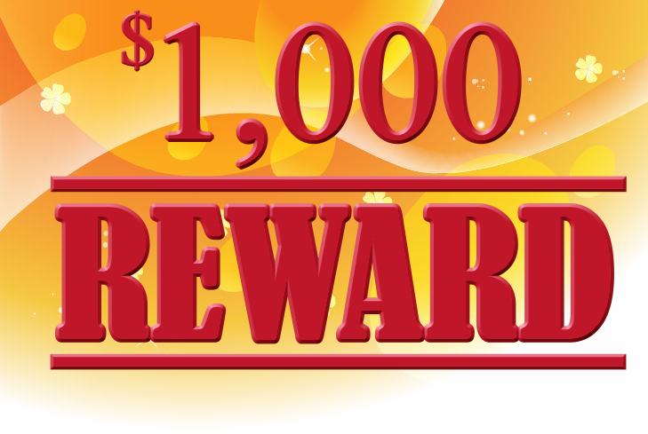 Jackie Coleman - Author/Blogger: Marketing Strategy