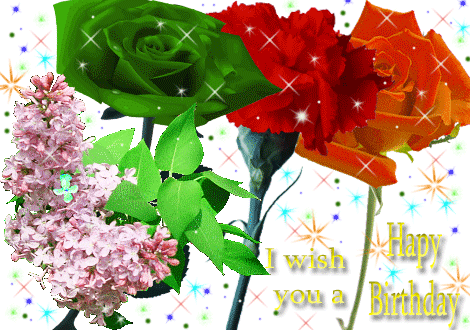 Happy Greetings Congrats: I wish you a Happy Birthday with Spring