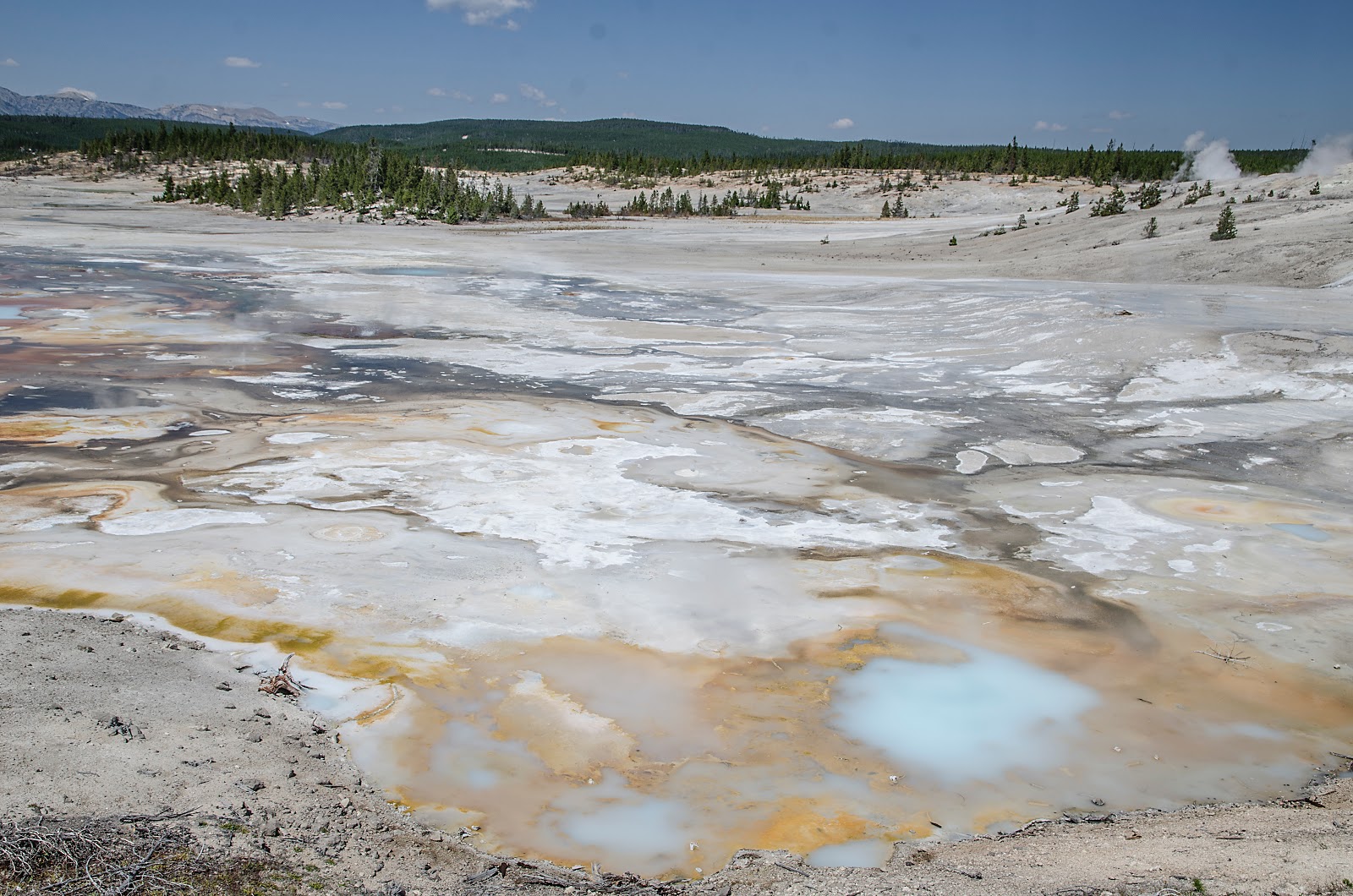 Я і моє життя: Національний парк "Єллоустон" (Yellowstone National Park)