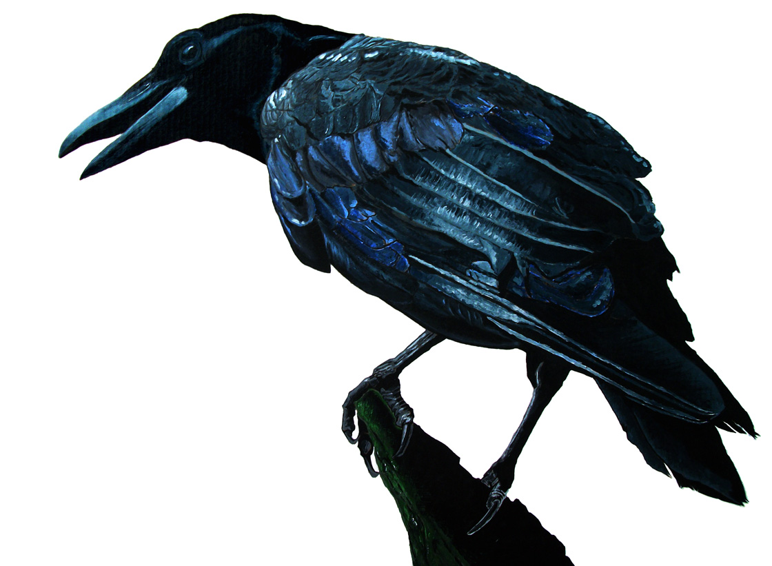 "O Corvo" de Edgar Allan Poe.