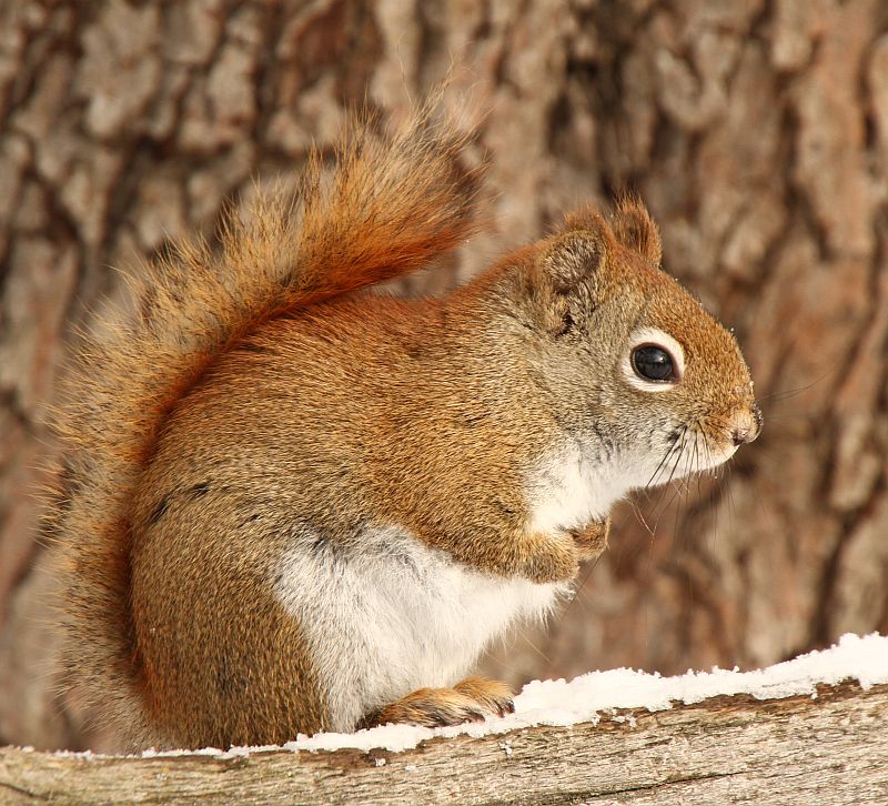 "Out & About" Photo Blog: January 2013