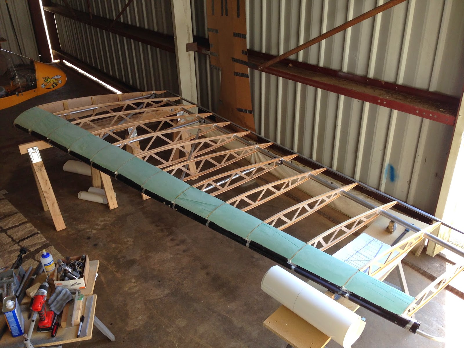 The Skyhopper Ultralight: Wing