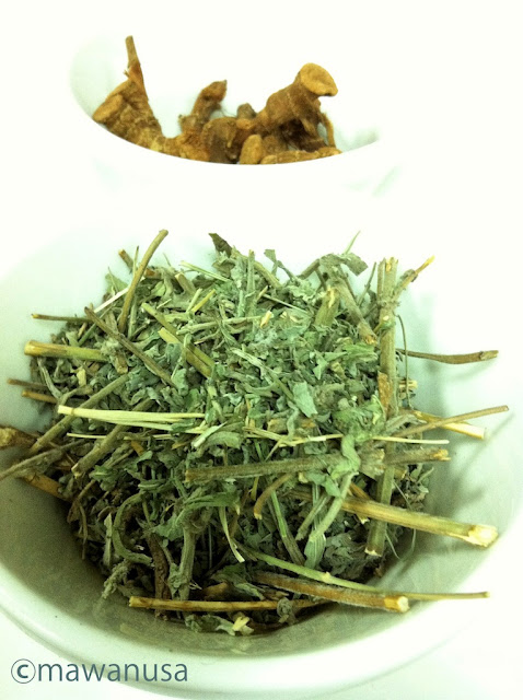 Mawanusa Blog: An Introduction to the Bedouin Tea