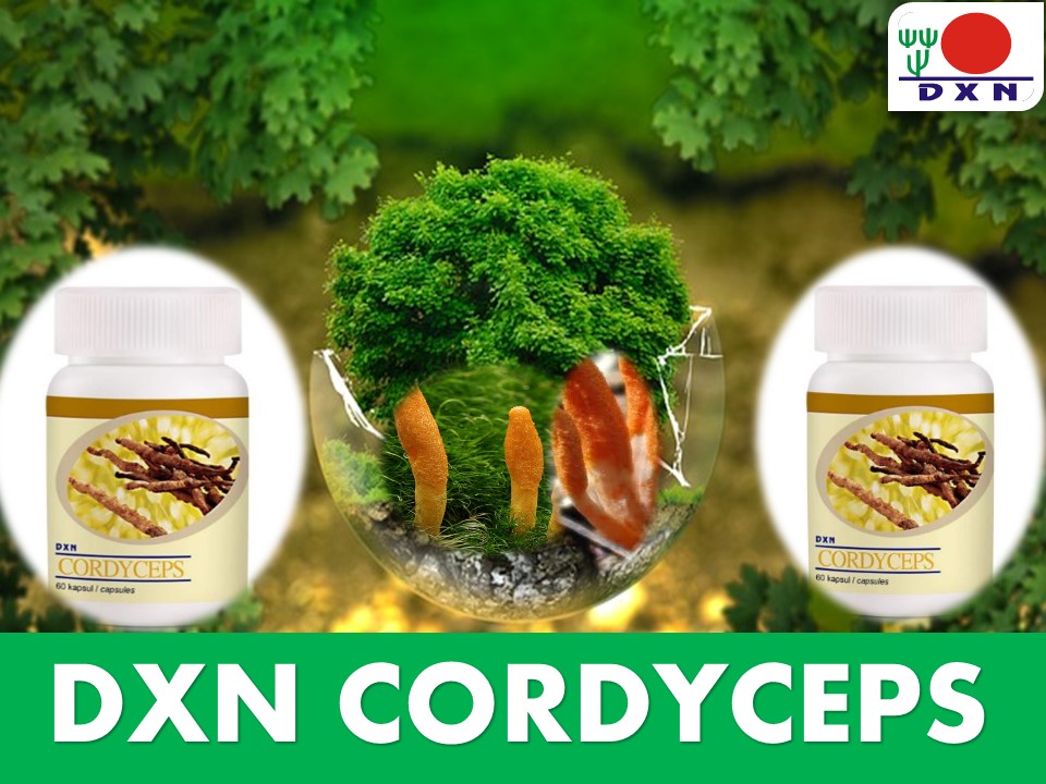 DXN_ Make_ Billionaires _ with cordyceps _mushroom_ cordyceps _ benefits