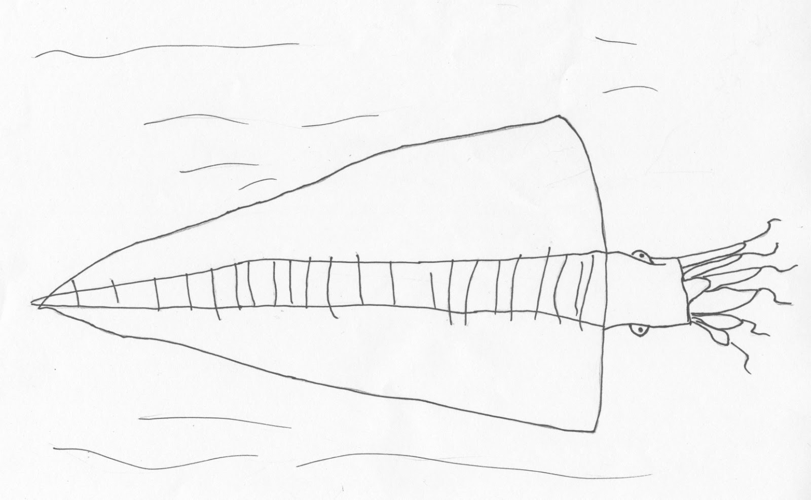 Life Before the Dinosaurs: Gonioceras.