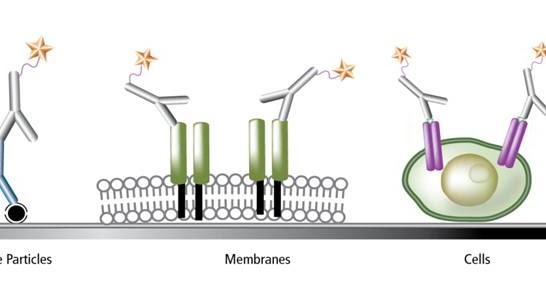 超靈敏電化學發光免疫分析技術 Electrochemiluminescence (ECL)_Plate Technology