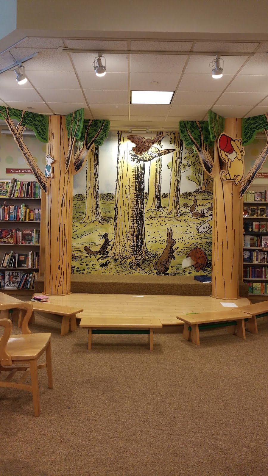 Picture Book Den: Picture book differences between the main bookshop ...