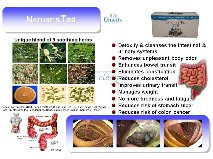 BIOLIFE - SLIM (Make life better)