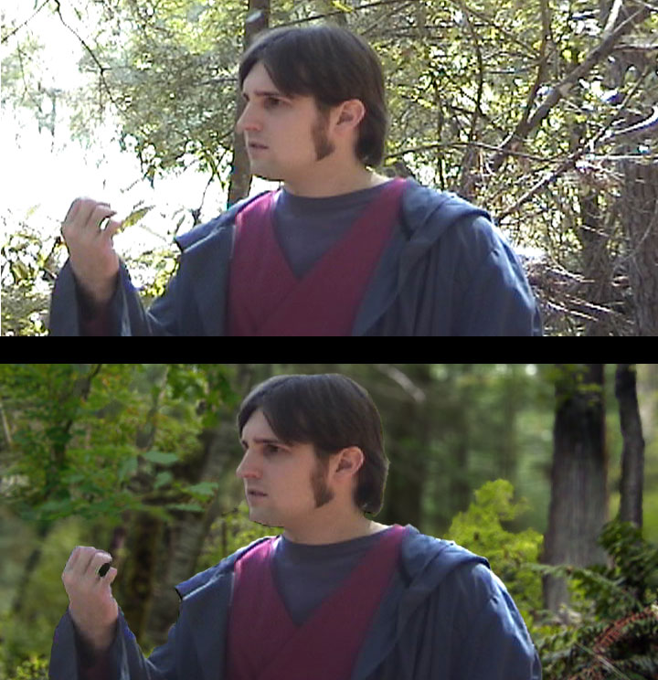 The Art of Terry Hamel