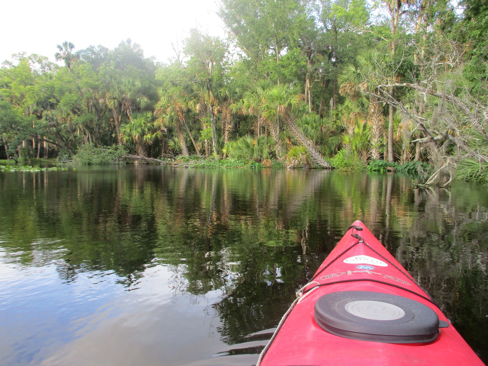 Dave's Yak Tales: Wekiva River